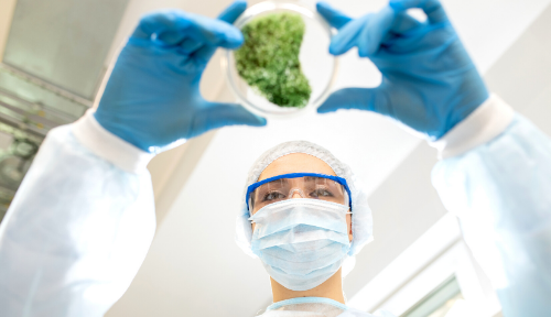 New Bachelor of Science in Environmental Science | FUS